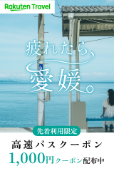 先着1,000円クーポン配布中！ 