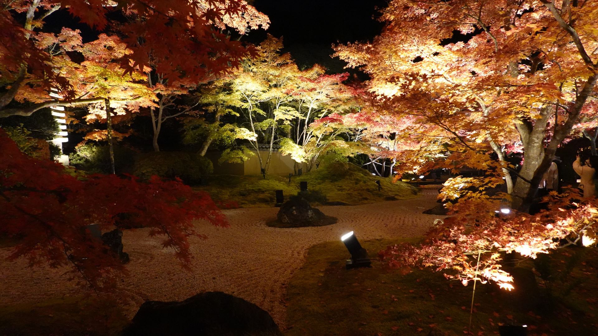 2023円通院紅葉ライトアップ3