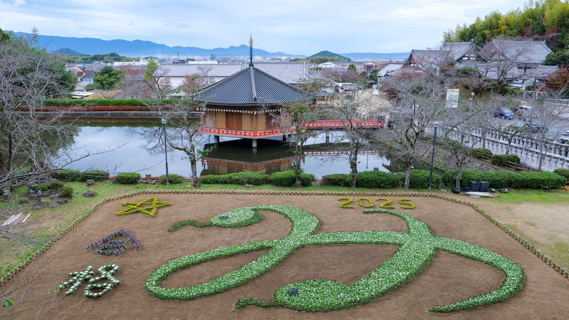 【安倍文殊院】ジャンボ干支花絵（時期：2025年4月末まで）